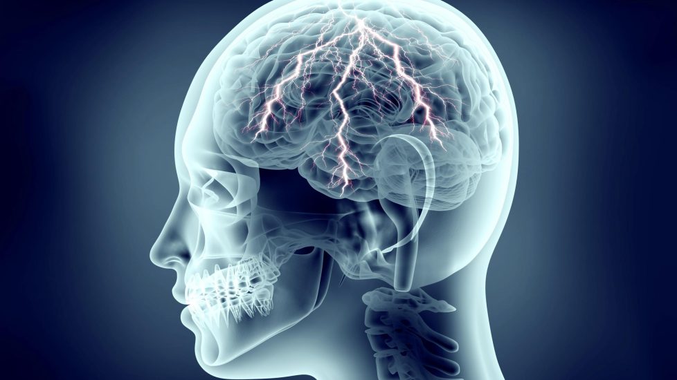 Truri i njeriut funksionon edhe pas vdekjes - Gazeta Si