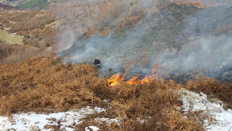 Përfshihet nga flakët një masiv pyjesh në Malësinë e Krujës - Gazeta Si