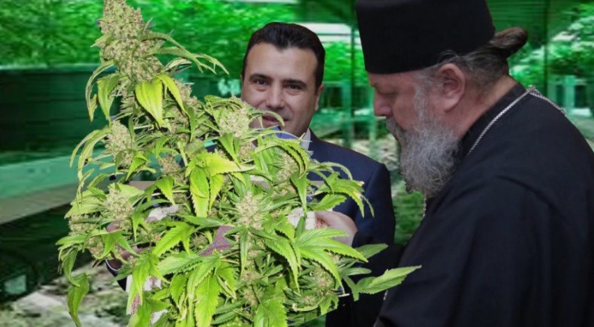 Modeli maqedonas - Si ta kthejmë kanabisin në një super industri ... Modeli maqedonas - Si ta kthejmë kanabisin në një super industri ...