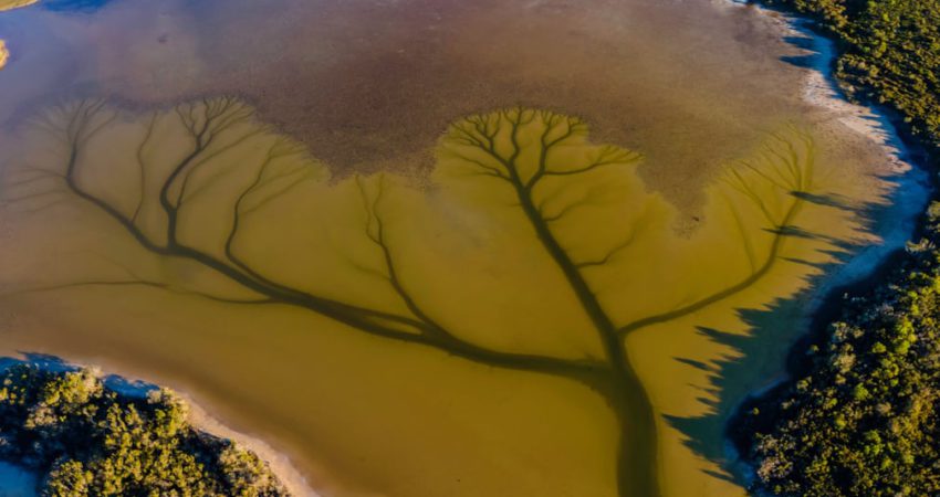 Pema e jetës - Gazeta Si