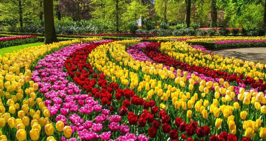 Kopshtet më të bukura rreth botës - Gazeta Si