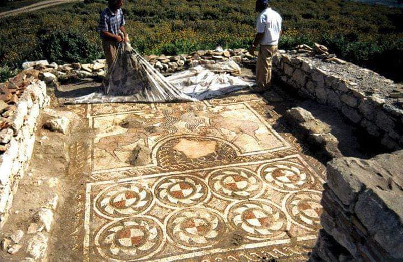 Sa shumë mozaikë ka Shqipëria, por sa pak janë të vizitueshëm! - Gazeta Si
