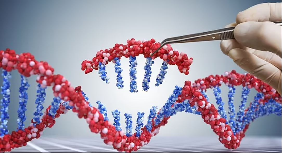 Studimi: Ka 42 gjene që shkaktojnë Alzhemier - Gazeta Si