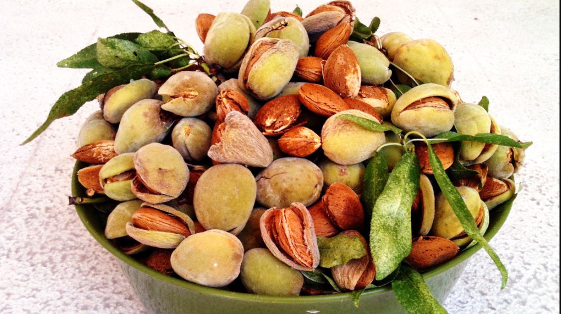 Dhimbje qafe, marramendje, të përziera, dhimbje zorrësh, acarim lëkure ...