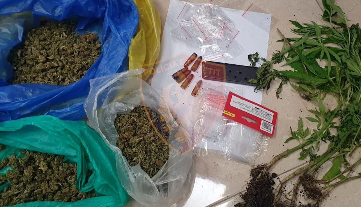 Tiranë, babë e bir në pranga për kultivim dhe shitje droge - Gazeta Si Tiranë, babë e bir në pranga për kultivim dhe shitje droge - Gazeta Si