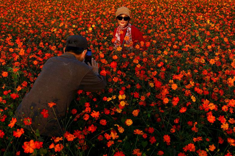Fotot më të bukura të ditës - Gazeta Si