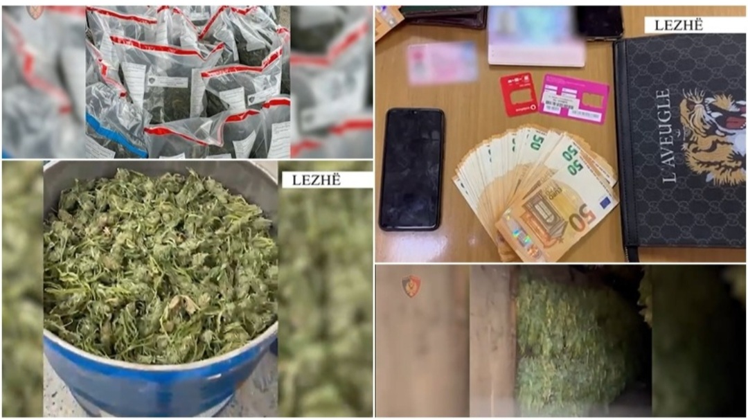 Operacion anti-drogë në Lezhë/ Sekuestrohen 158 kg kanabis, arrestohen ... Operacion anti-drogë në Lezhë/ Sekuestrohen 158 kg kanabis, arrestohen ...