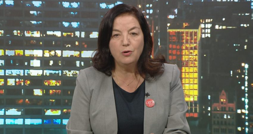 Censusi, Drejtoresha e INSTAT: Deri tani regjistrimi është kryer në 42% ...