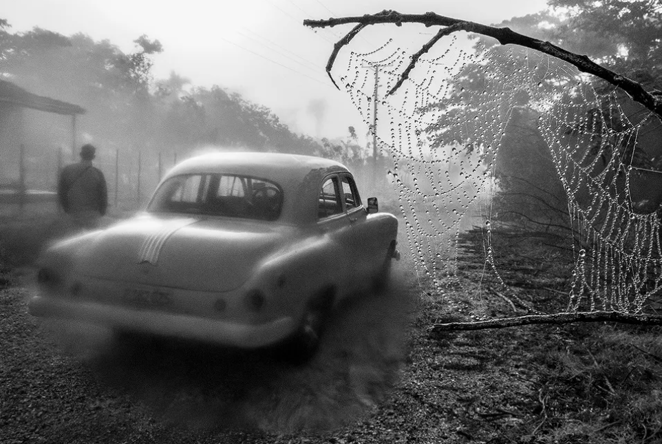 Mrekullitë e dimrit në foto - Gazeta Si