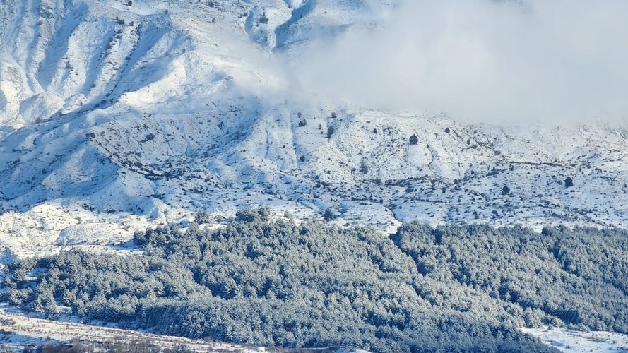 Kolazh dimëror nga Kolonja, Sheleguri dhe pyjet e Gërmenjit - Gazeta Si